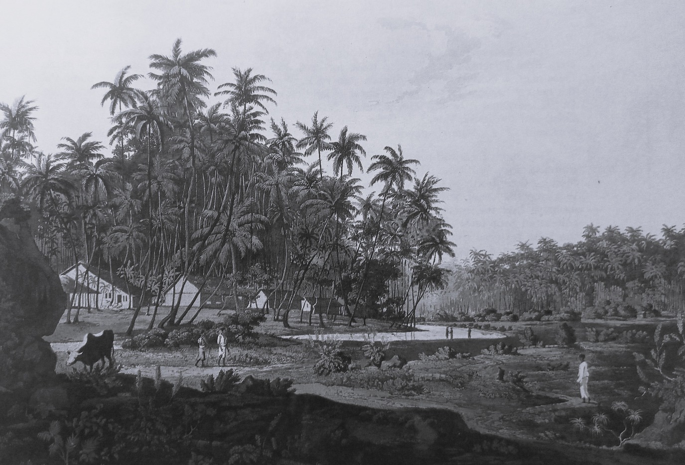The Ceylon Journal
